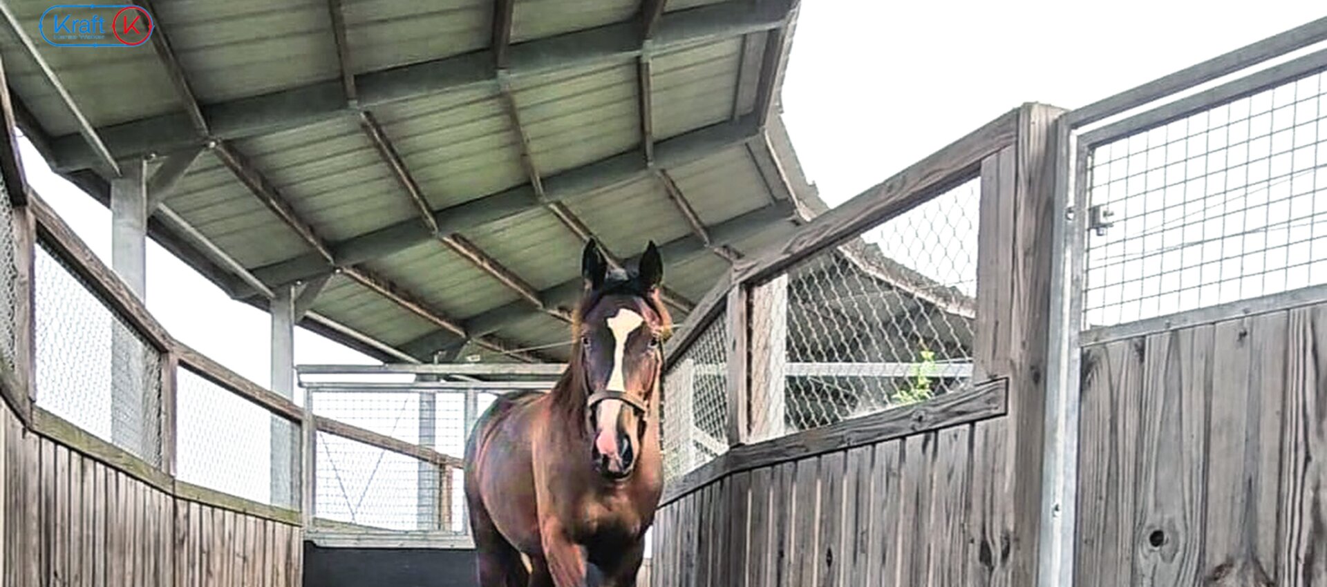 KRAFT Horse Walkers - Kraft-horsewalker